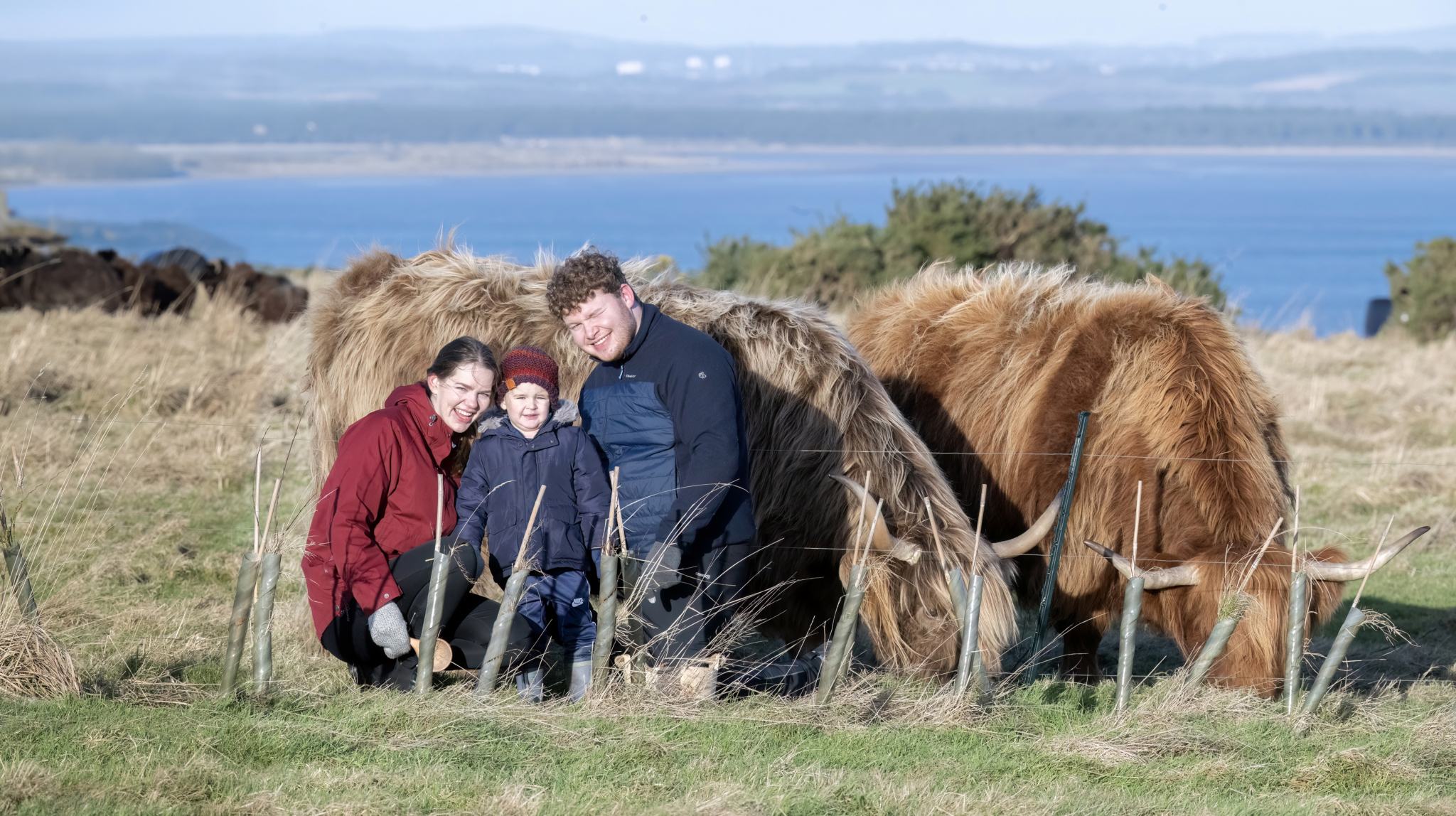 Highland Cow Experience, Bee Keeping & Rewilding Days